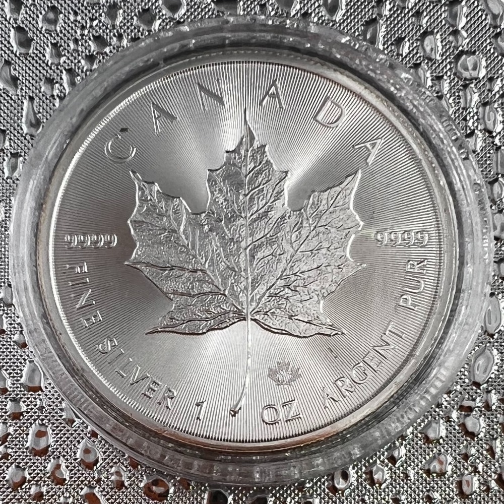 2021 1oz Canadian Maple Silver Coin - Own4Less